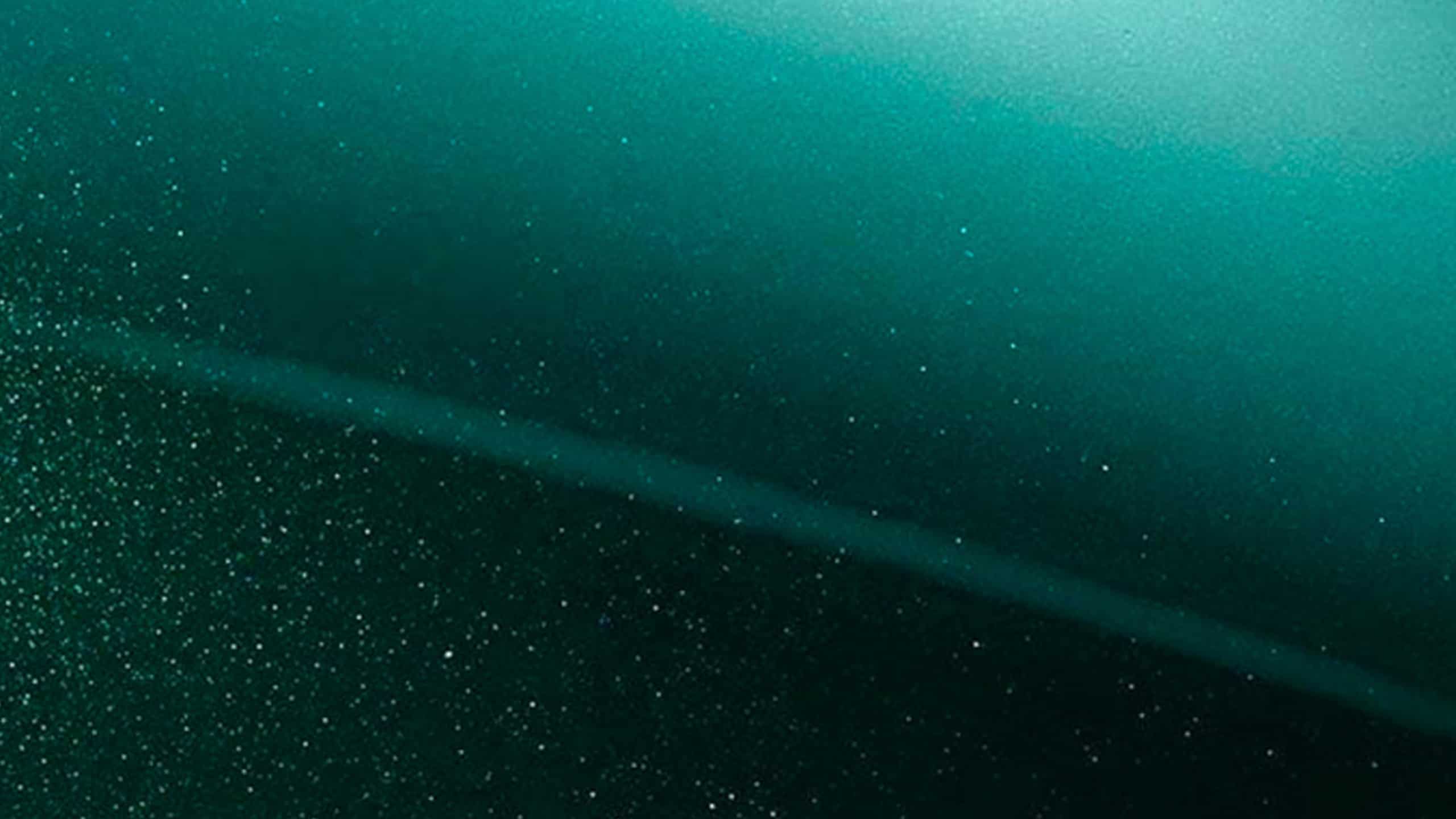 SV Premium Palette | Gallery | Jaguar